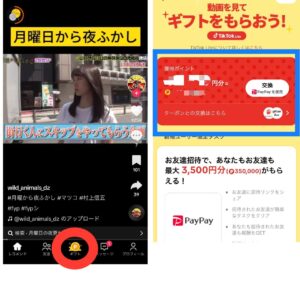 TikTok Lite（ティックトックライト）のポイントをPayPayに交換するやり方！